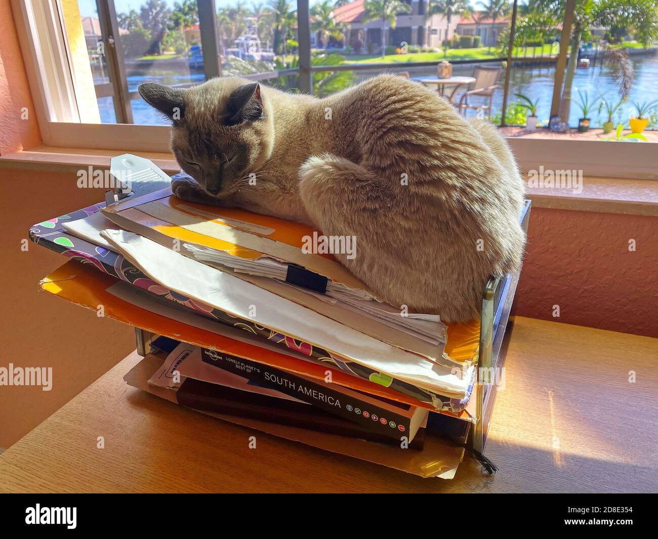 Slanted surface hi-res stock photography and images - Alamy