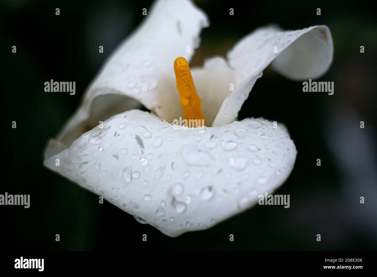 Colombia rain season hi-res stock photography and images - Alamy