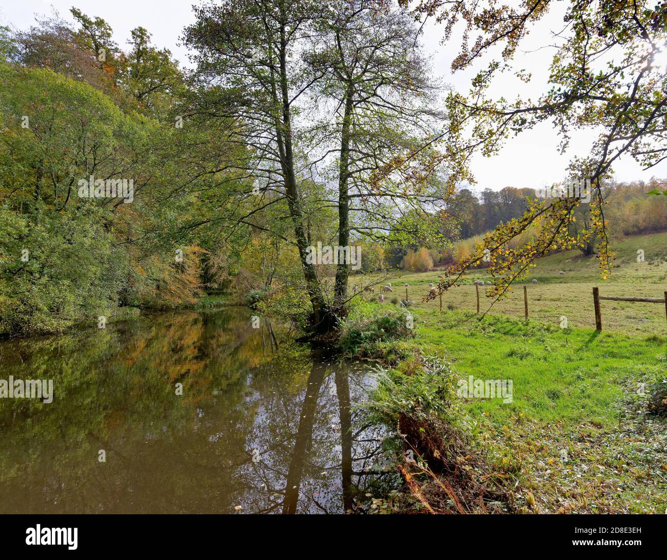 Brook surrey hi-res stock photography and images - Alamy