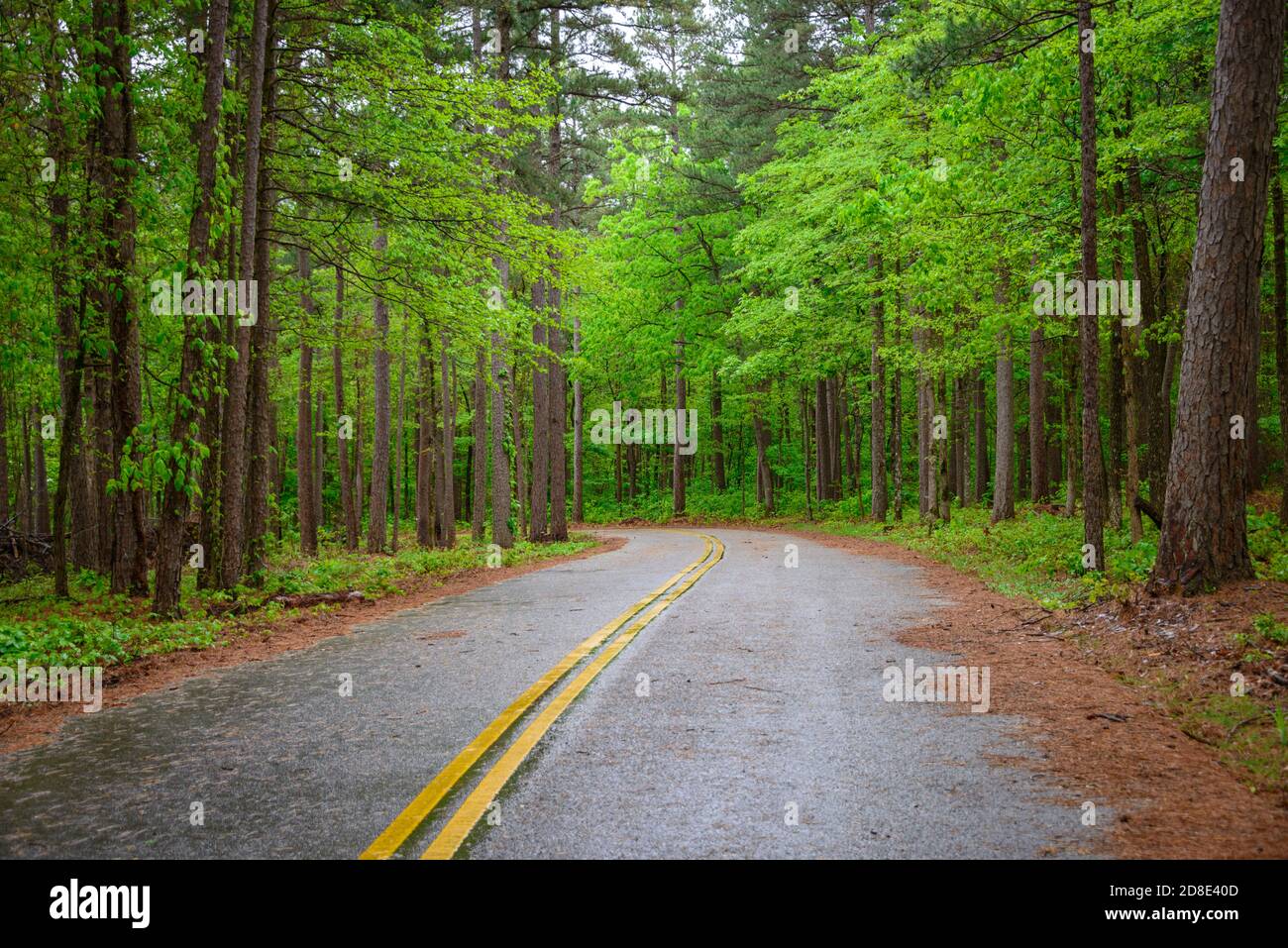 Talimena Scenic Drive Stock Photo - Alamy