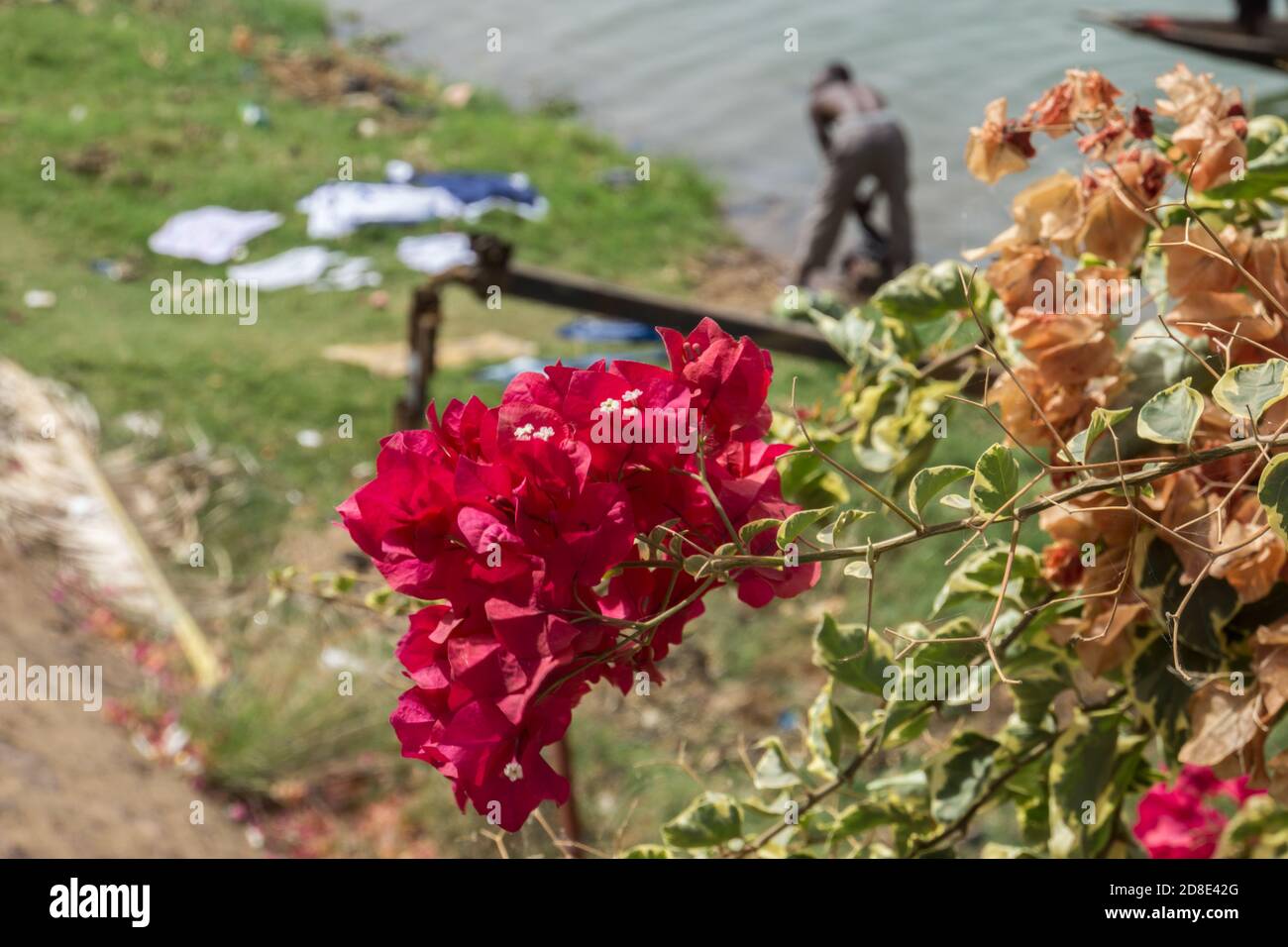 Village life rural mali hi-res stock photography and images - Alamy