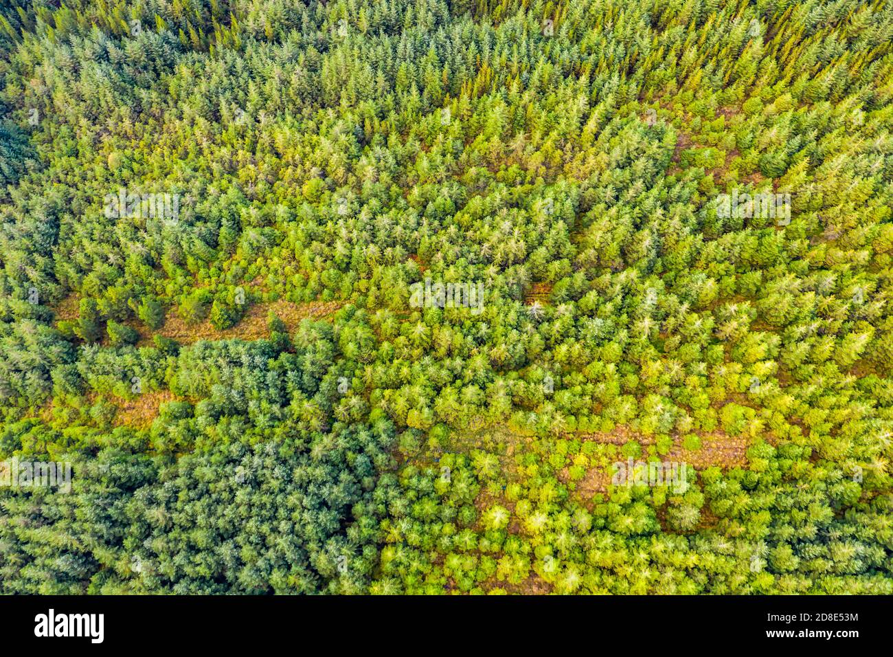 Curagh hi-res stock photography and images - Alamy