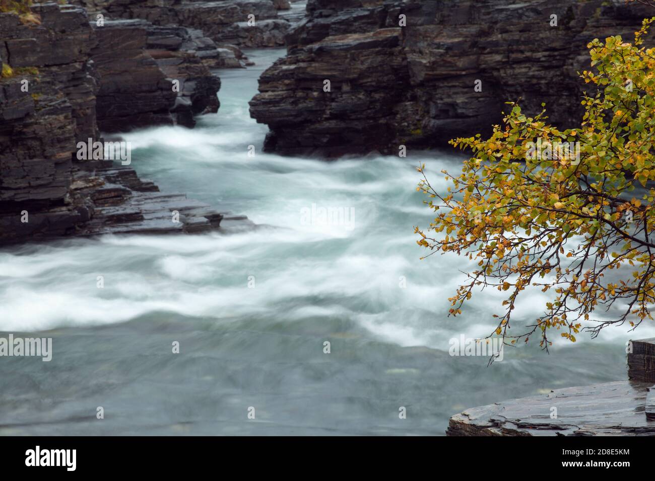 Rocky creek, brook, river up North. High cliffs along the canyon and ...