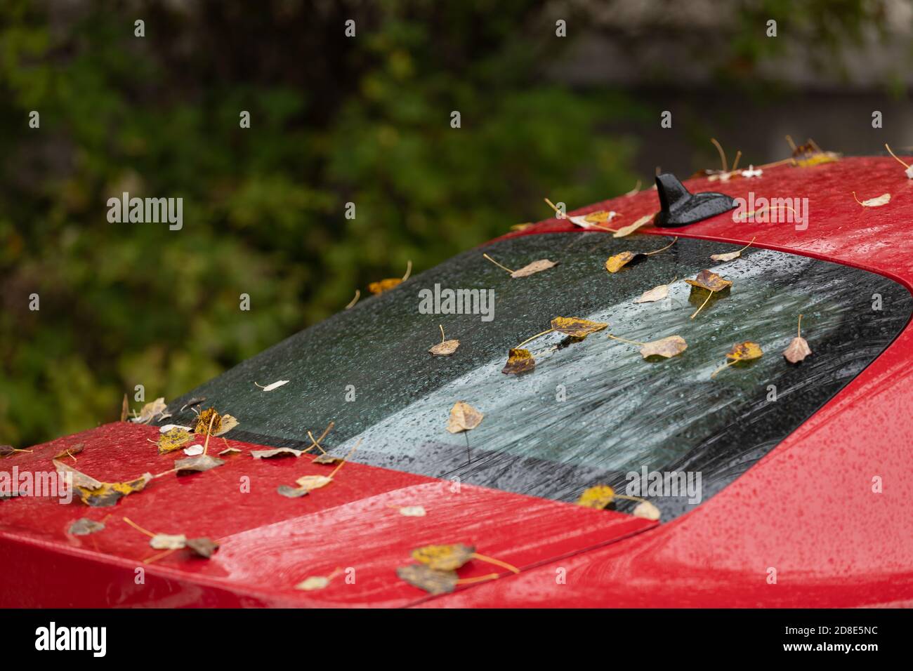 Leaves on a car windscreen hi-res stock photography and images - Alamy