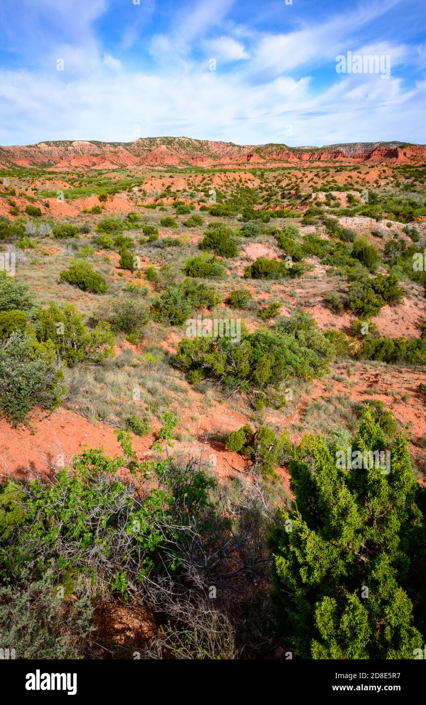 Caprock Canyons State Park and Trailway Stock Photo - Alamy