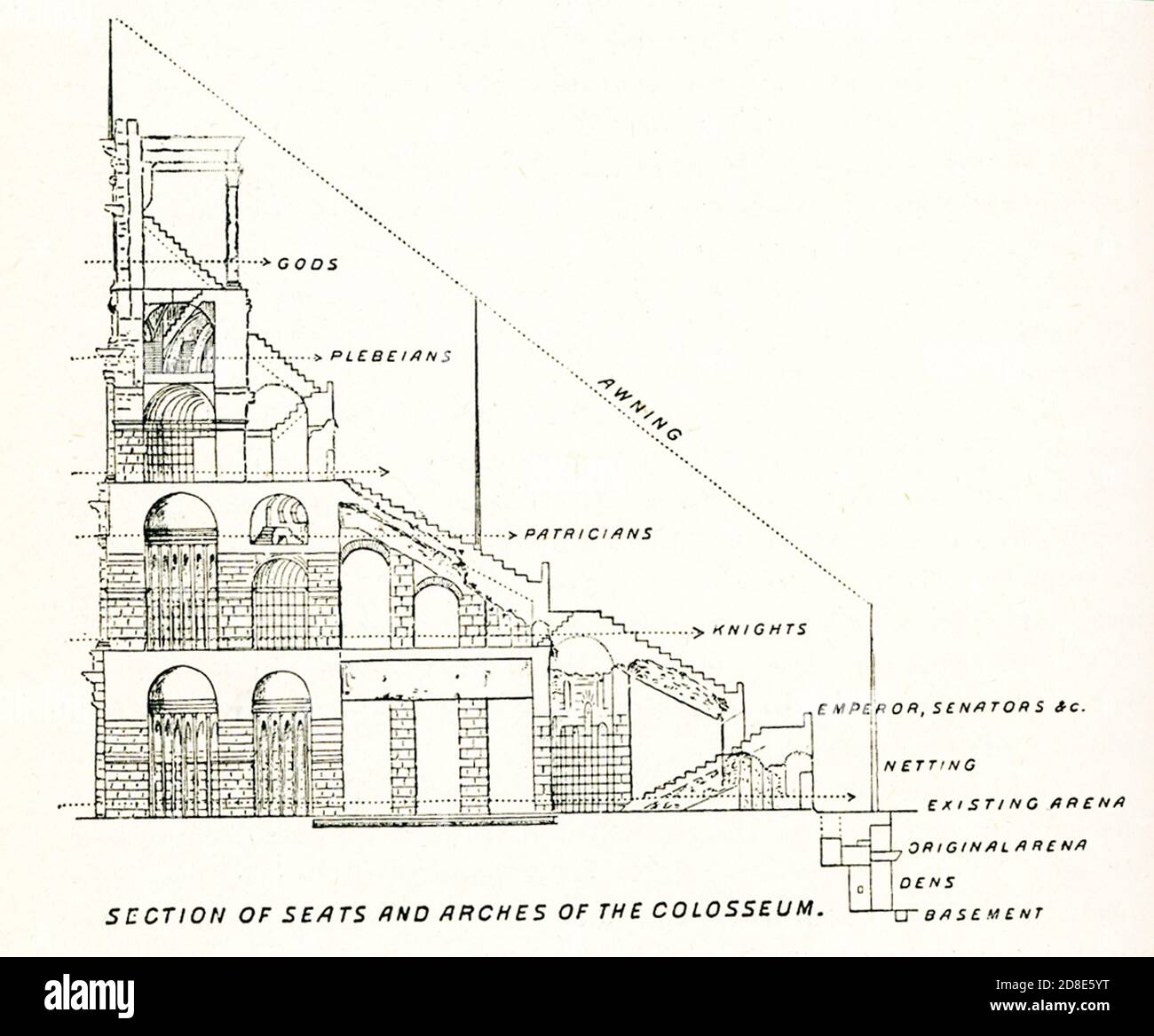 Ancient rome colosseum animal hi-res stock photography and images - Alamy