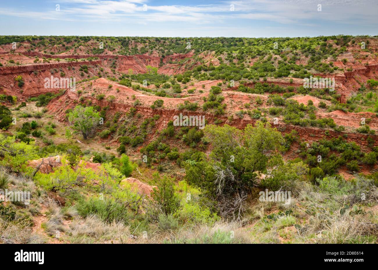 Caprock Canyons State Park and Trailway Stock Photo - Alamy