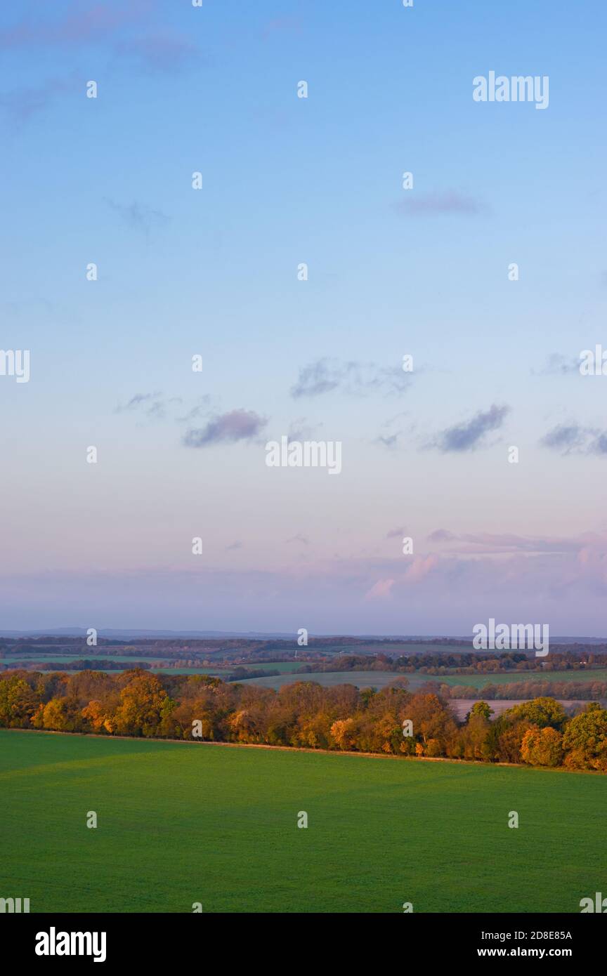 Golden evening sunset light illuminating the field of a typical English ...