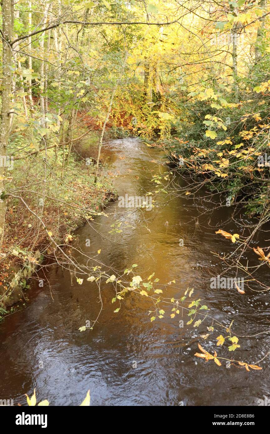 Autumn trees by river Stock Photo - Alamy