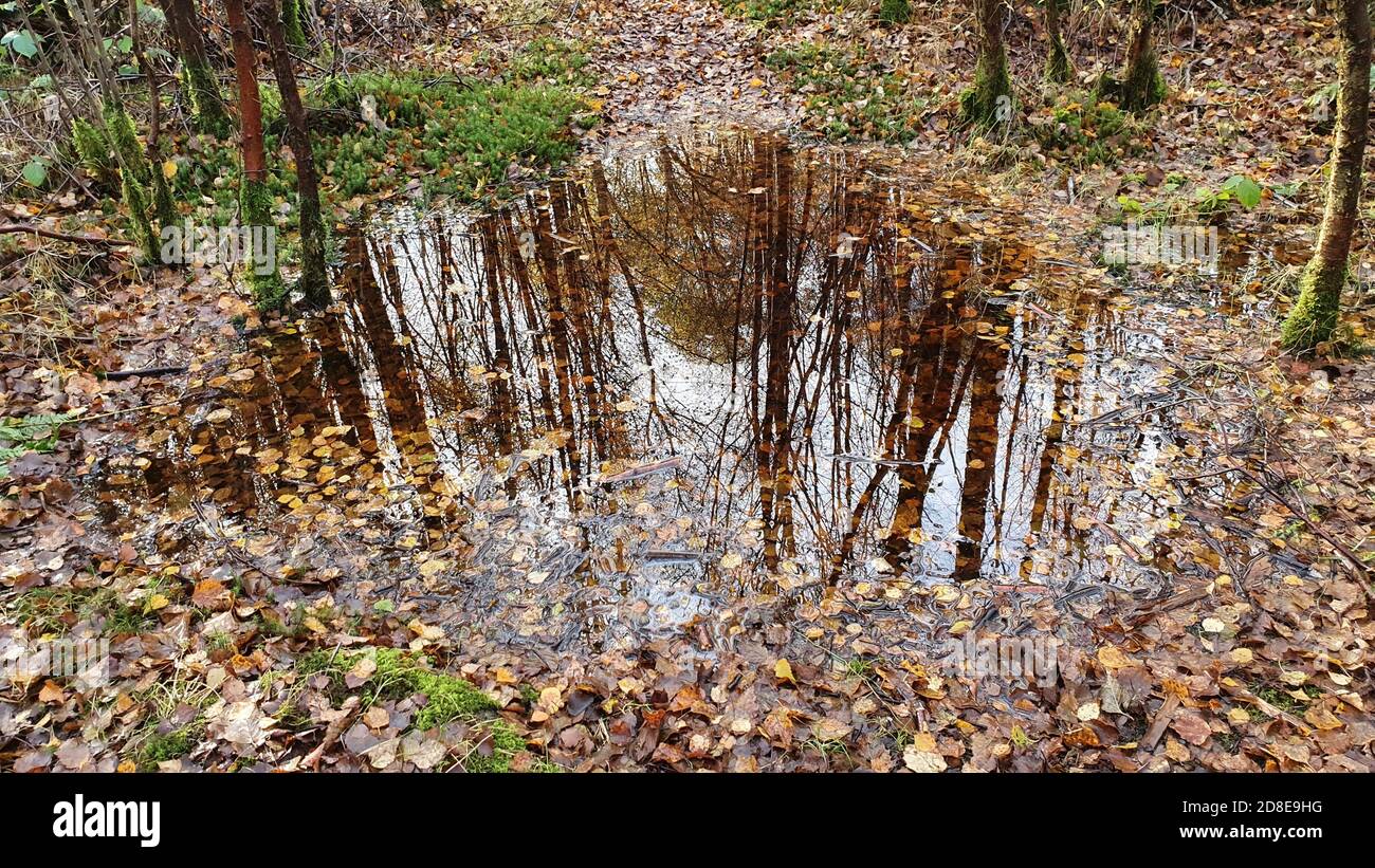 Reflections In The Puddles Water High Resolution Stock Photography and ...