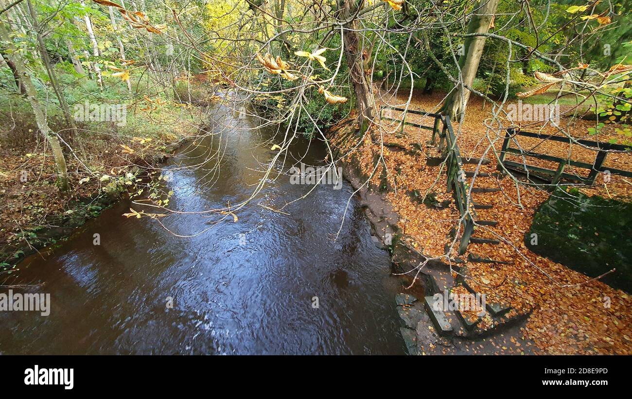 Autumn trees, river and bridge Stock Photo - Alamy