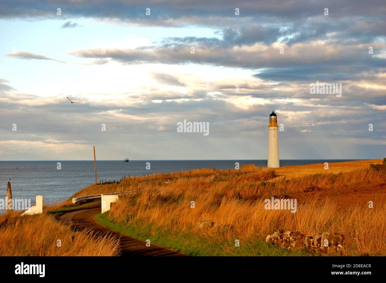 Ferryden hi-res stock photography and images - Alamy