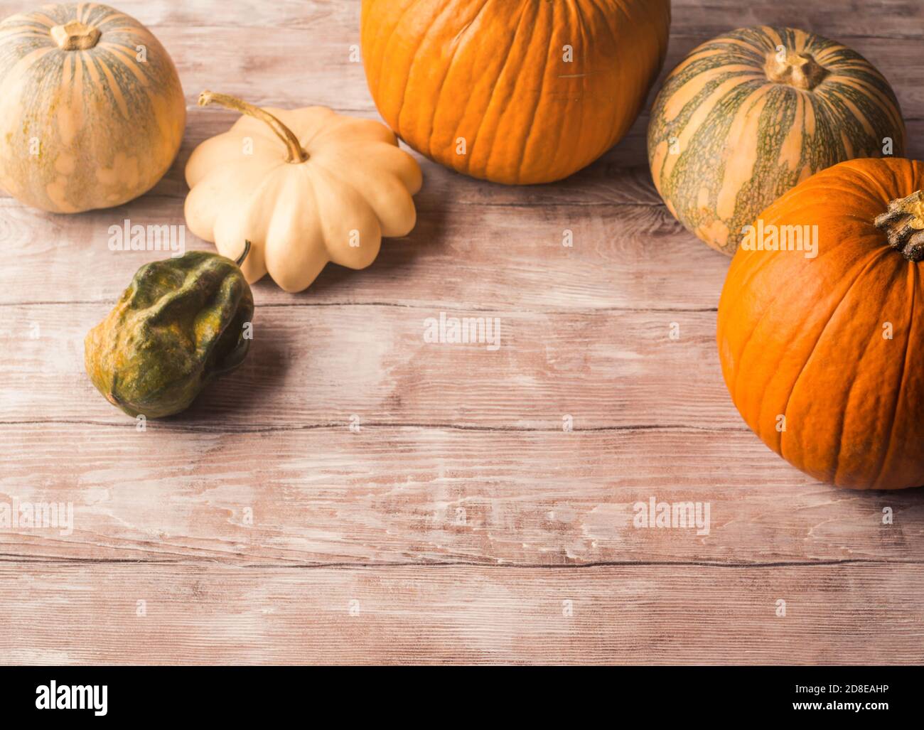 Autumn thanksgiving halloween background Stock Photo - Alamy