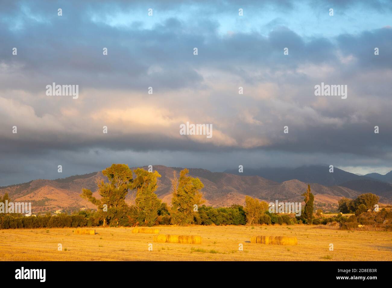 View over a field towards mountains at sunset, Argaka, Paphos District ...