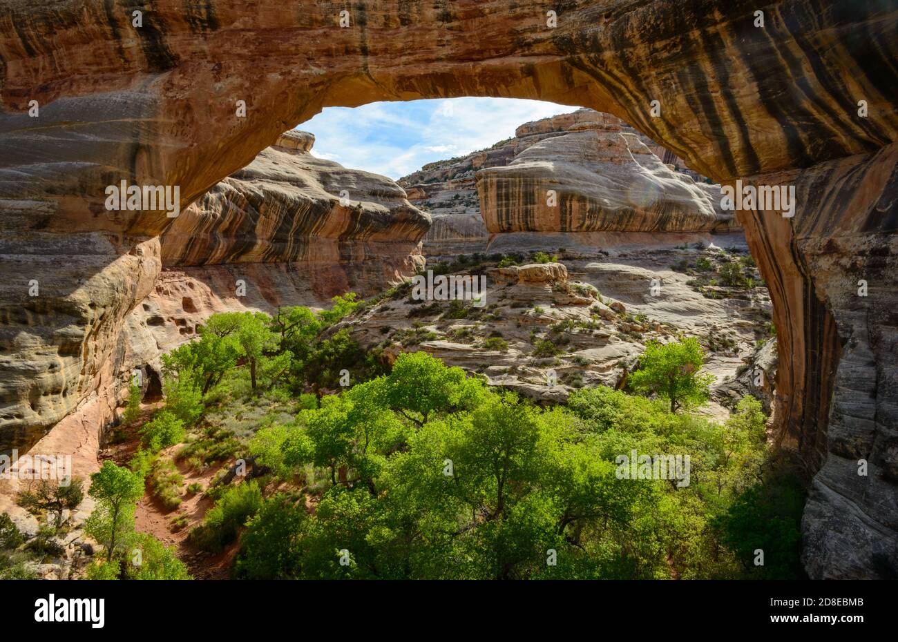 Natural Bridges National Monument Stock Photo - Alamy