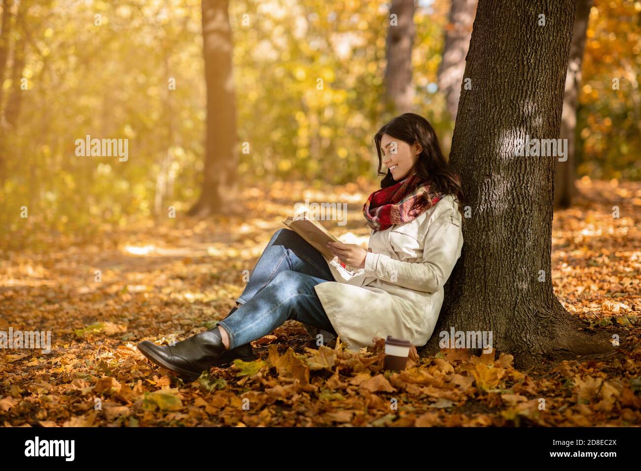 Woman reading under tree hi-res stock photography and images - Alamy