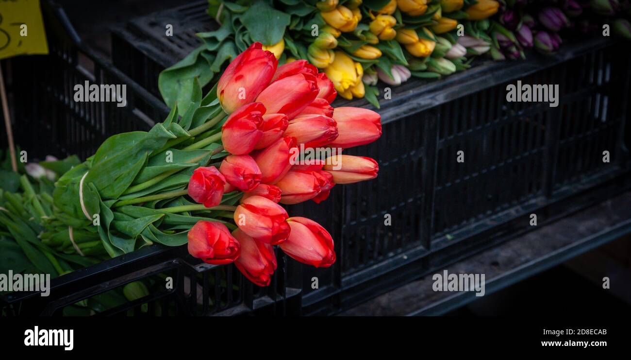 TallantImages Flowers Fish Market Stock Photo - Alamy