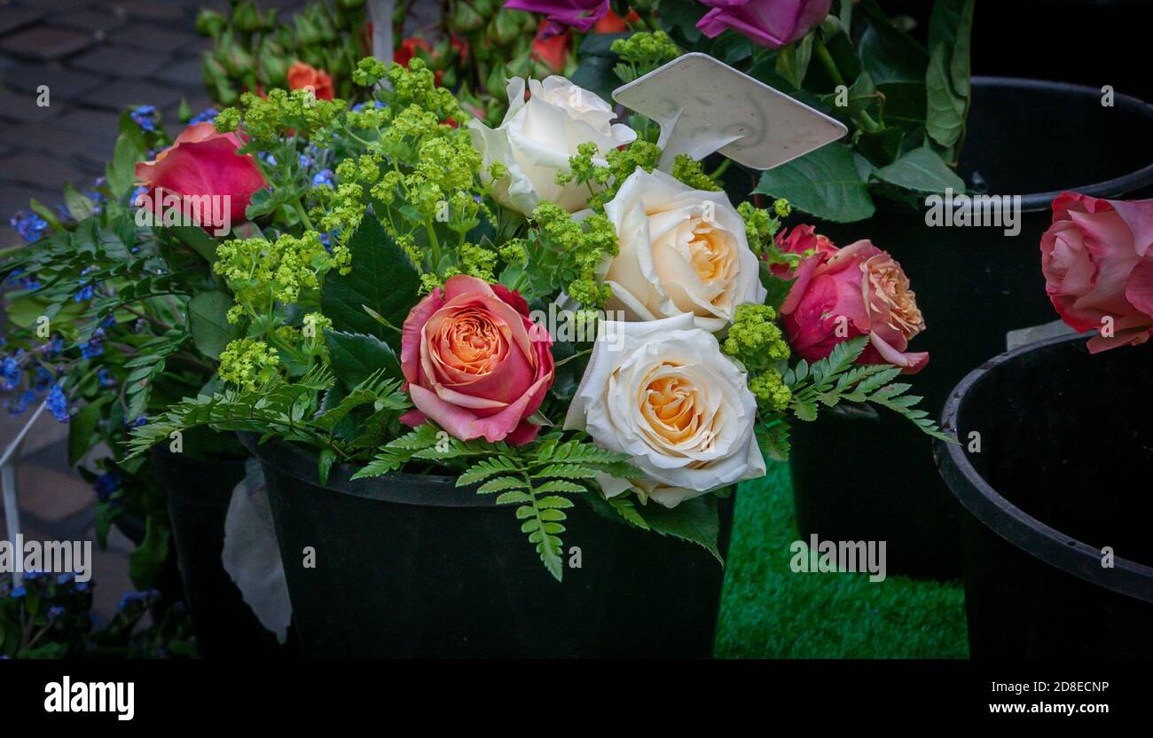 TallantImages Flowers Fish Market Stock Photo - Alamy