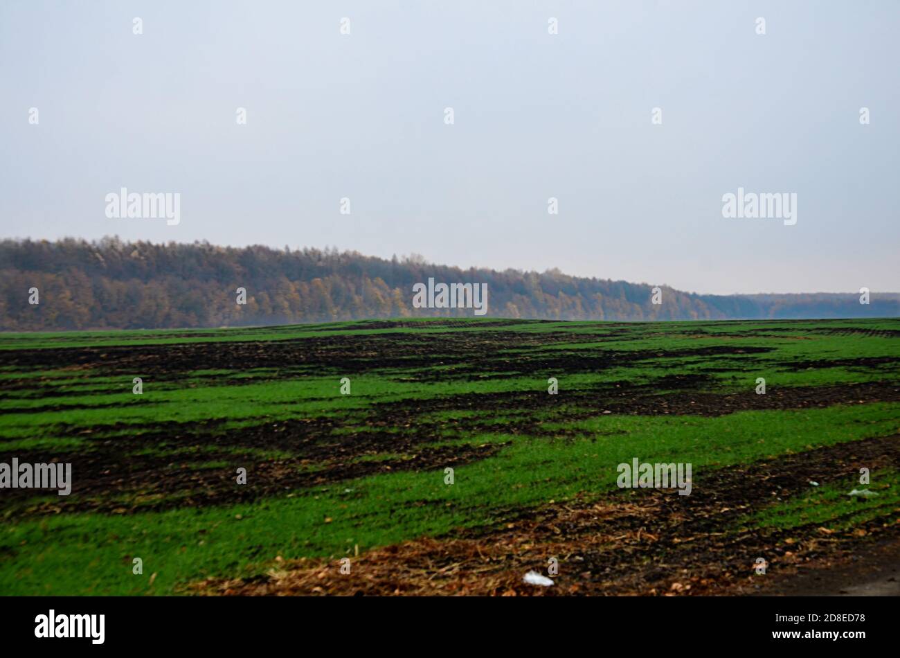 Sown in autumn hi-res stock photography and images - Alamy