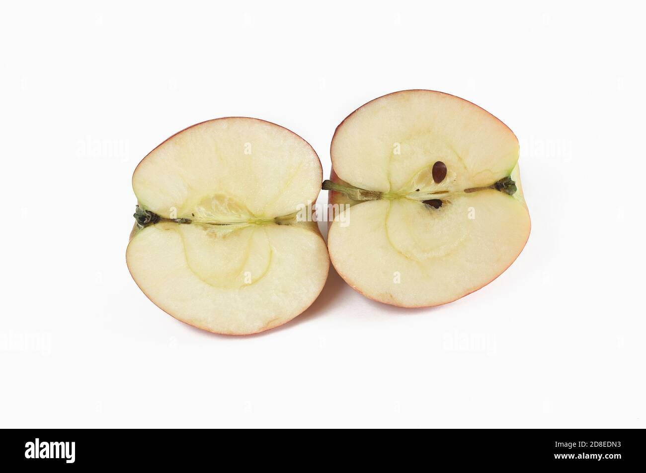 Apple harvest in orchard Cut Out Stock Images & Pictures - Alamy