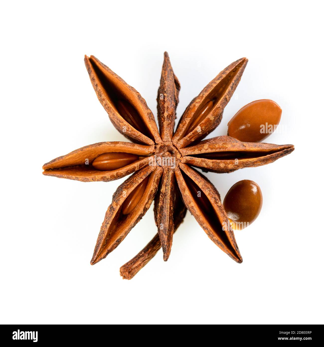 Star anise. Single star anise fruit with seeds. Macro close-up Isolated ...