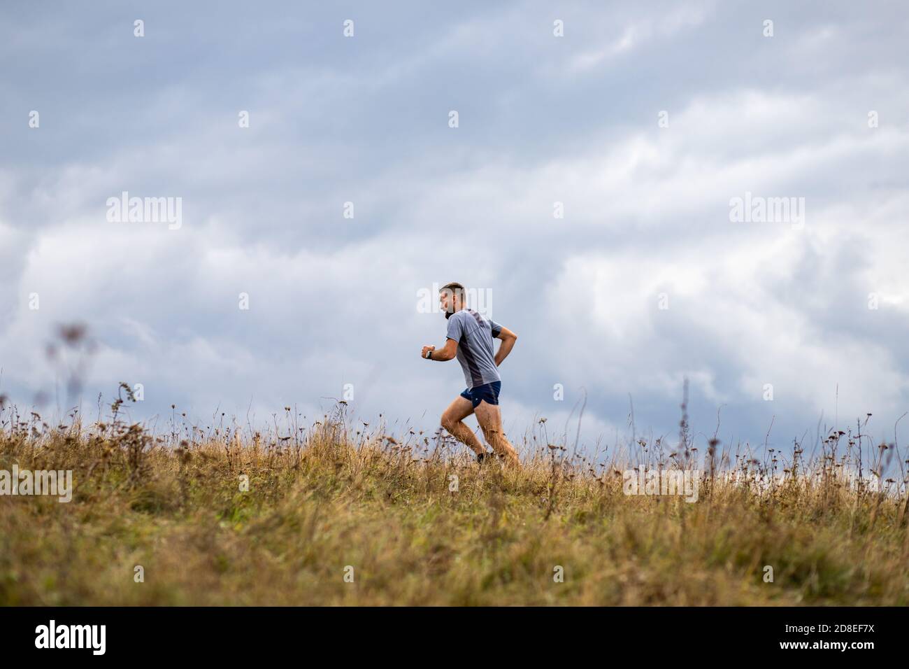 handsome trail runner running in nature Stock Photo - Alamy
