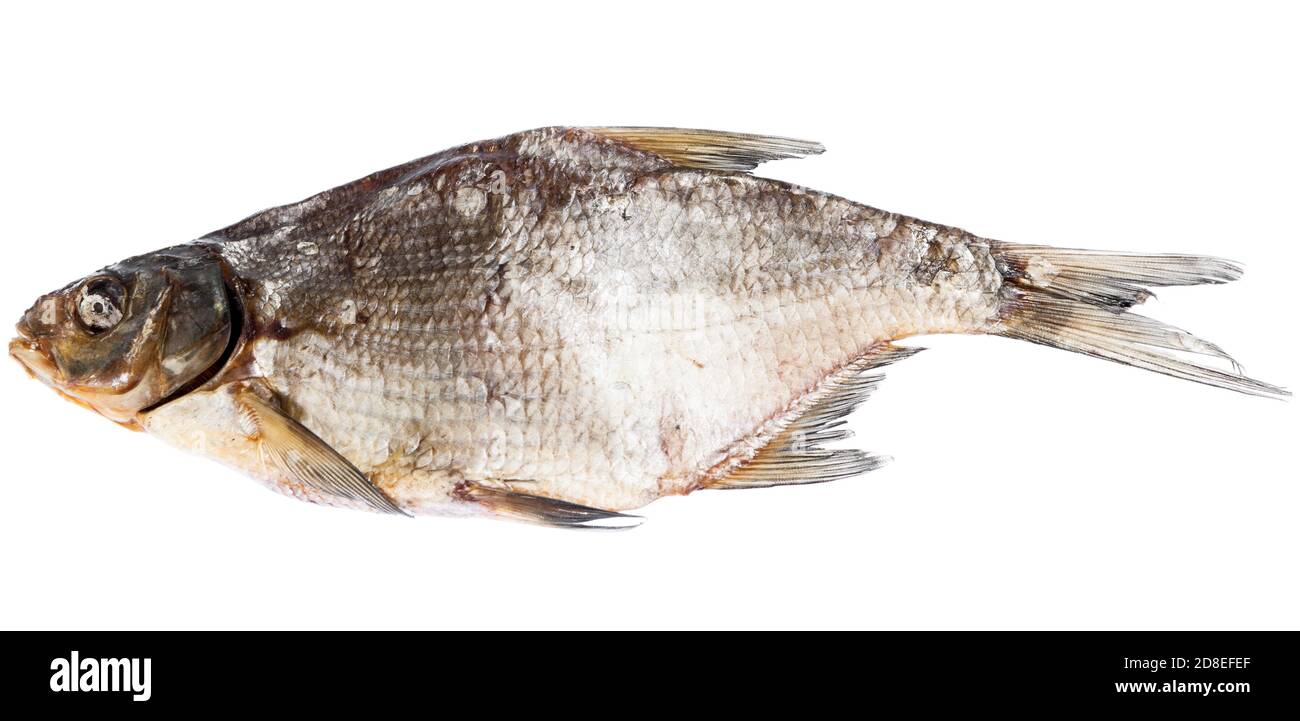 Dried freshwater fish, isolated on a white background Stock Photo - Alamy
