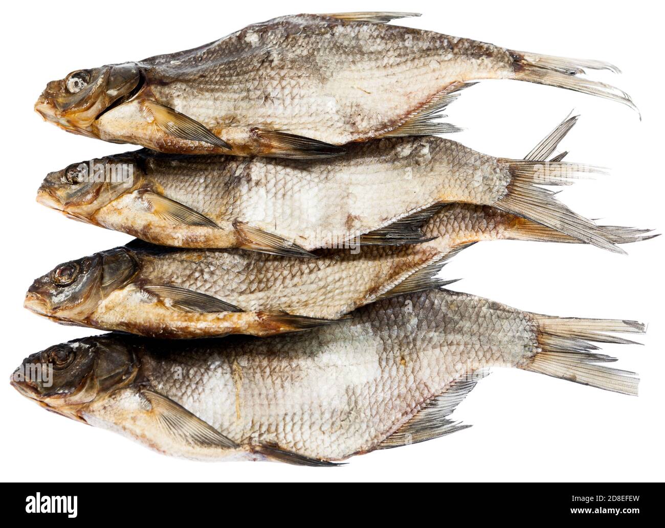 Four dried and solt freshwater fishes, isolated on a white background ...