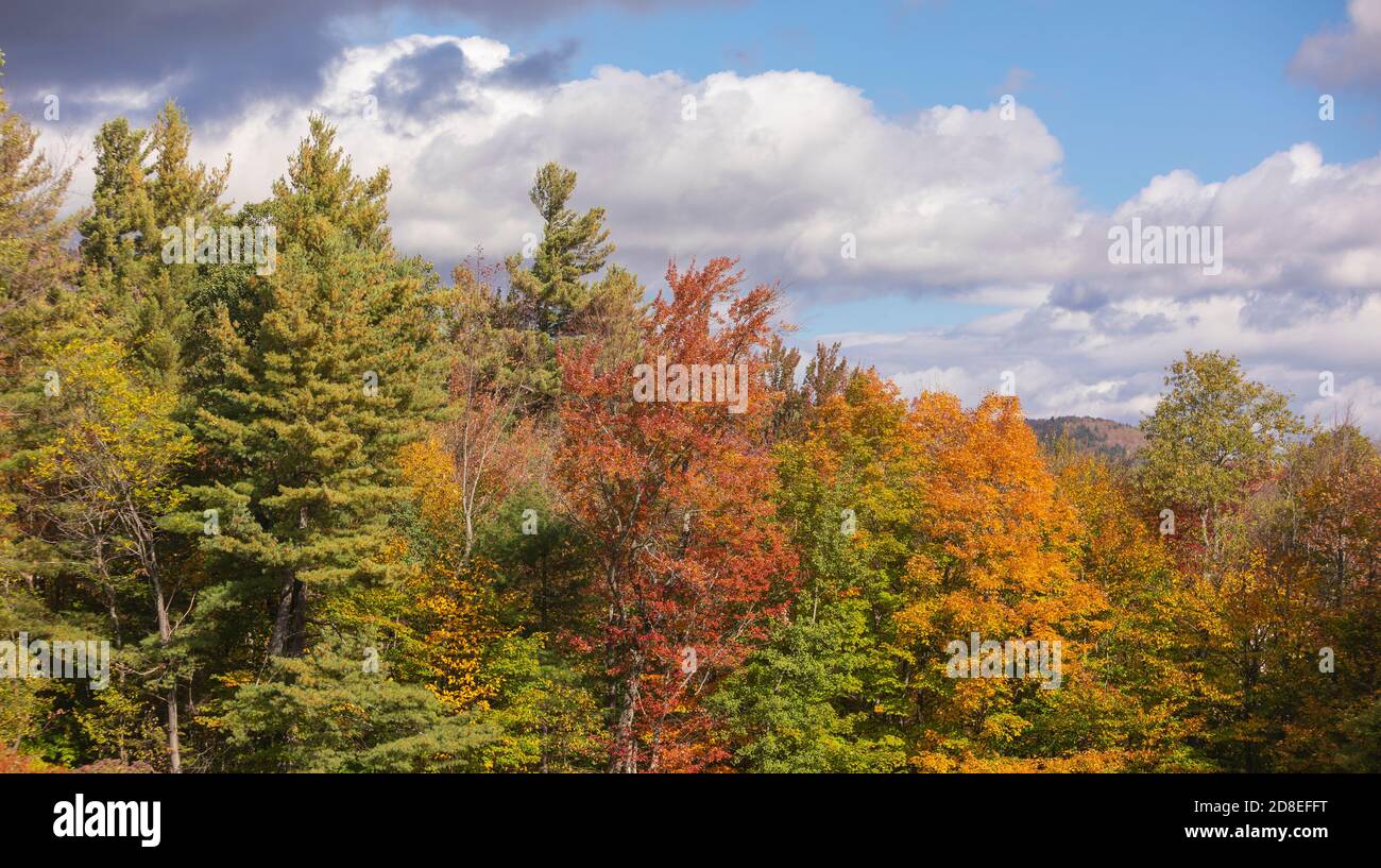 WARREN, VERMONT, USA - Autumn foliage in Mad River Valley, Green ...