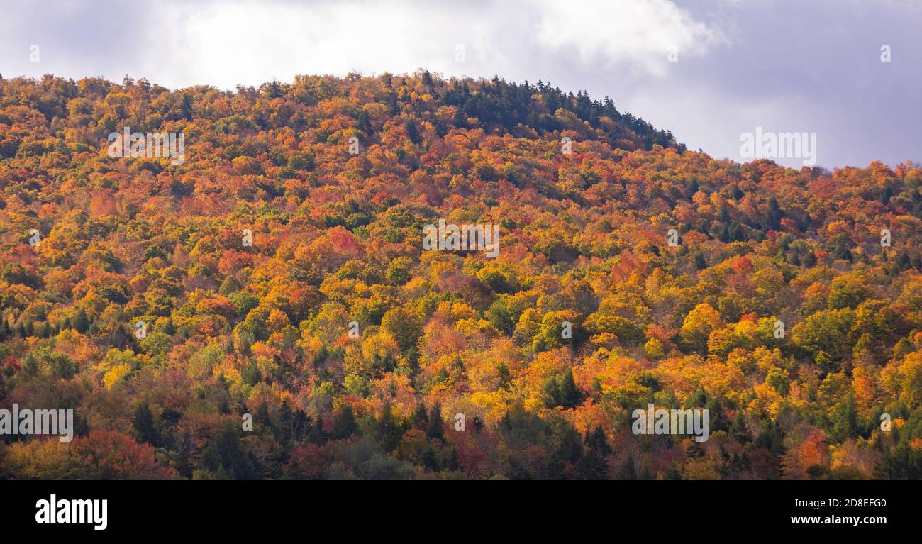 WARREN, VERMONT, USA - Autumn foliage in Mad River Valley, Green ...