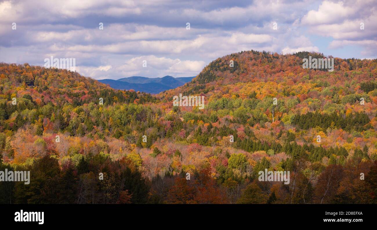 WARREN, VERMONT, USA - Autumn foliage in Mad River Valley, Green ...