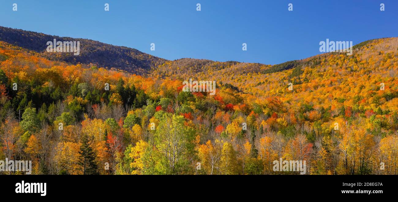 WARREN, VERMONT, USA - Autumn foliage in Mad River Valley, Green ...