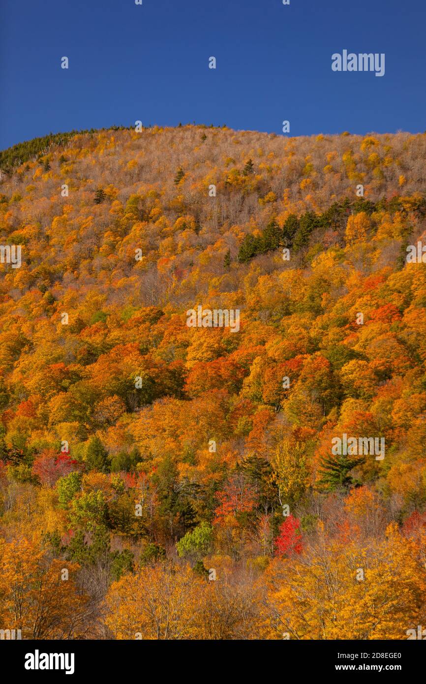 WARREN, VERMONT, USA - Autumn foliage in Mad River Valley, Green ...