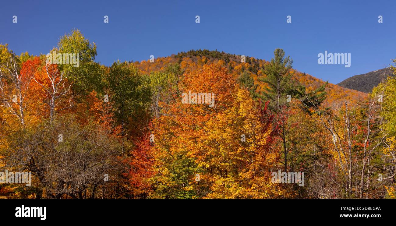 WARREN, VERMONT, USA - Autumn foliage in Mad River Valley, Green ...