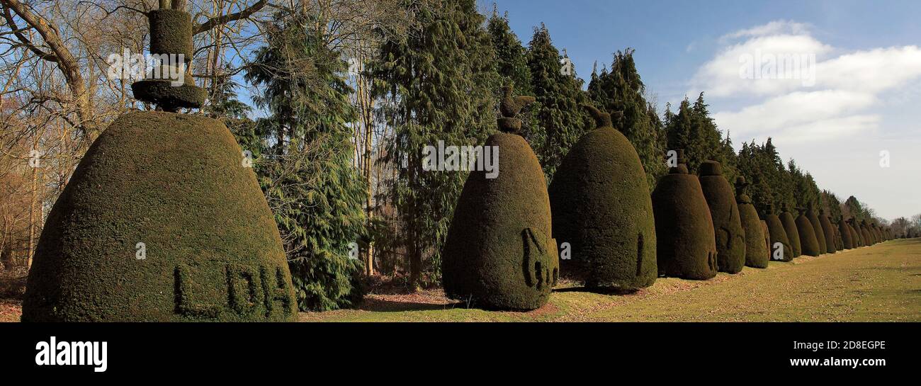 The Yew Tree avenue at Clipsham village; Rutland; England; UK Stock ...