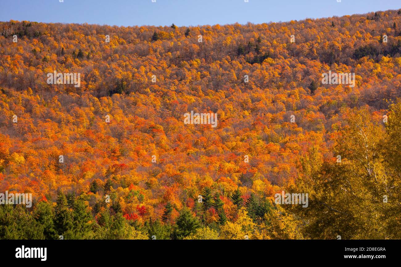 WARREN, VERMONT, USA - Autumn foliage in Mad River Valley, Green ...