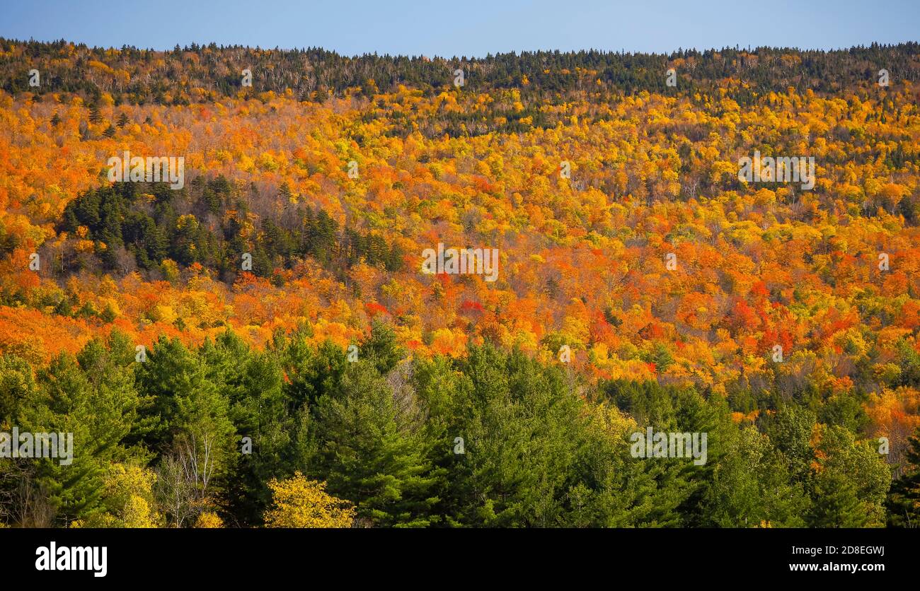 WARREN, VERMONT, USA - Autumn foliage in Mad River Valley, Green ...
