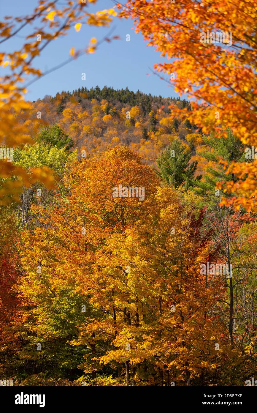 WARREN, VERMONT, USA - Autumn foliage in Mad River Valley, Green ...