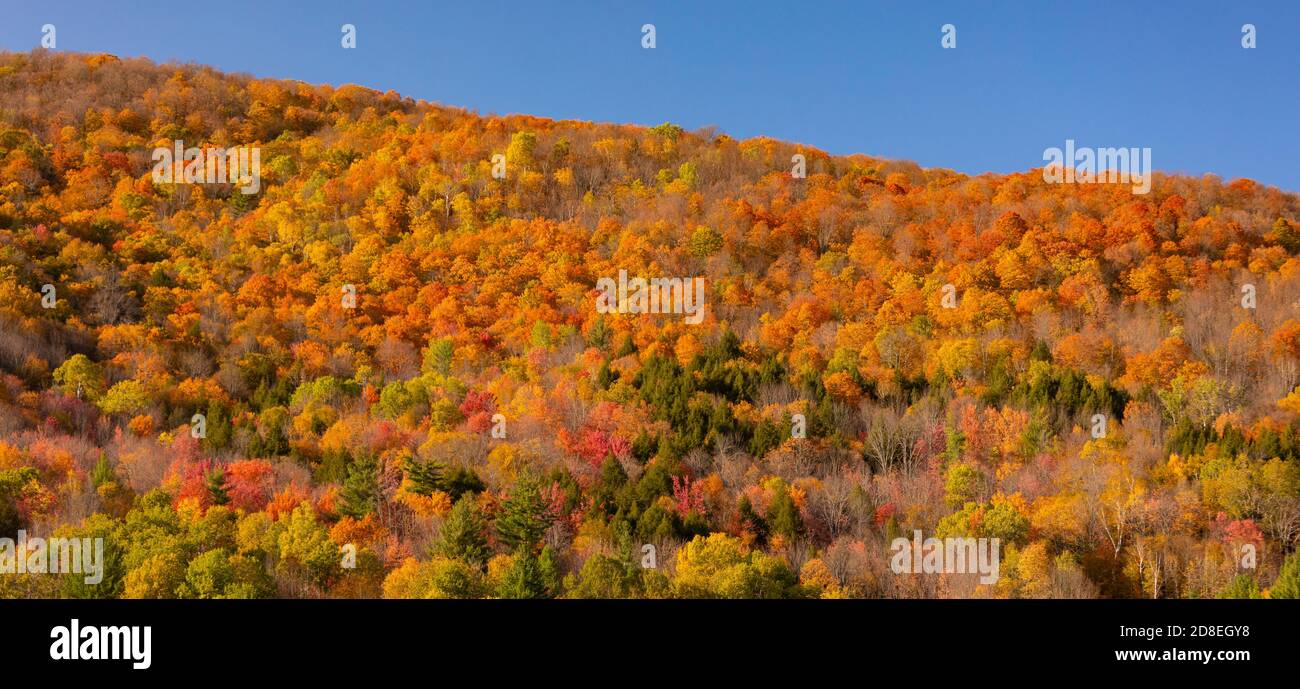 WARREN, VERMONT, USA - Autumn foliage in Mad River Valley, Green ...