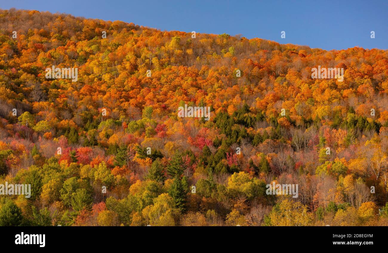 Green mountains hi-res stock photography and images - Alamy
