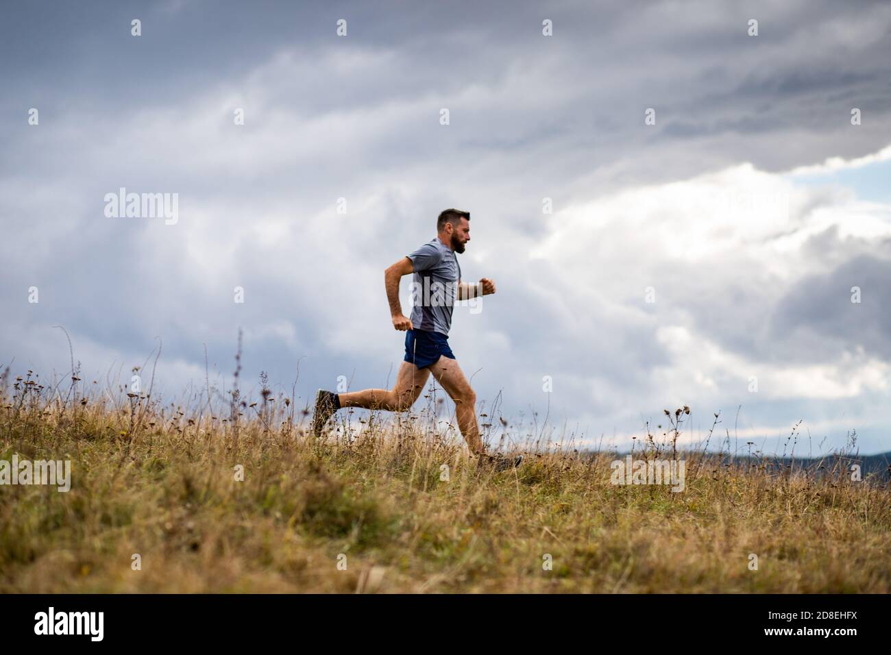 handsome trail runner running in nature Stock Photo - Alamy