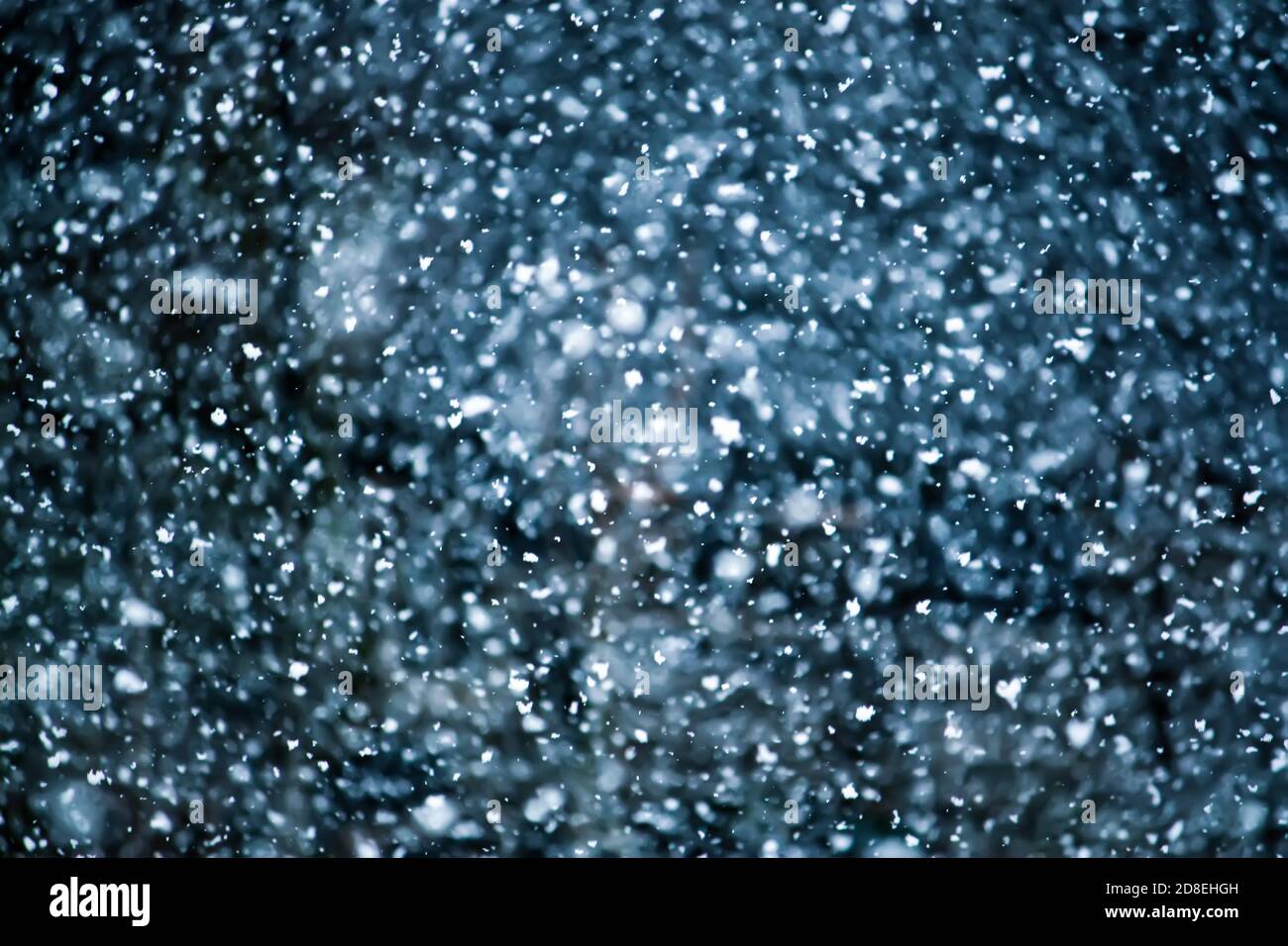 Winter snowfall background. Flying flakes of snow. Blizzard Stock Photo ...