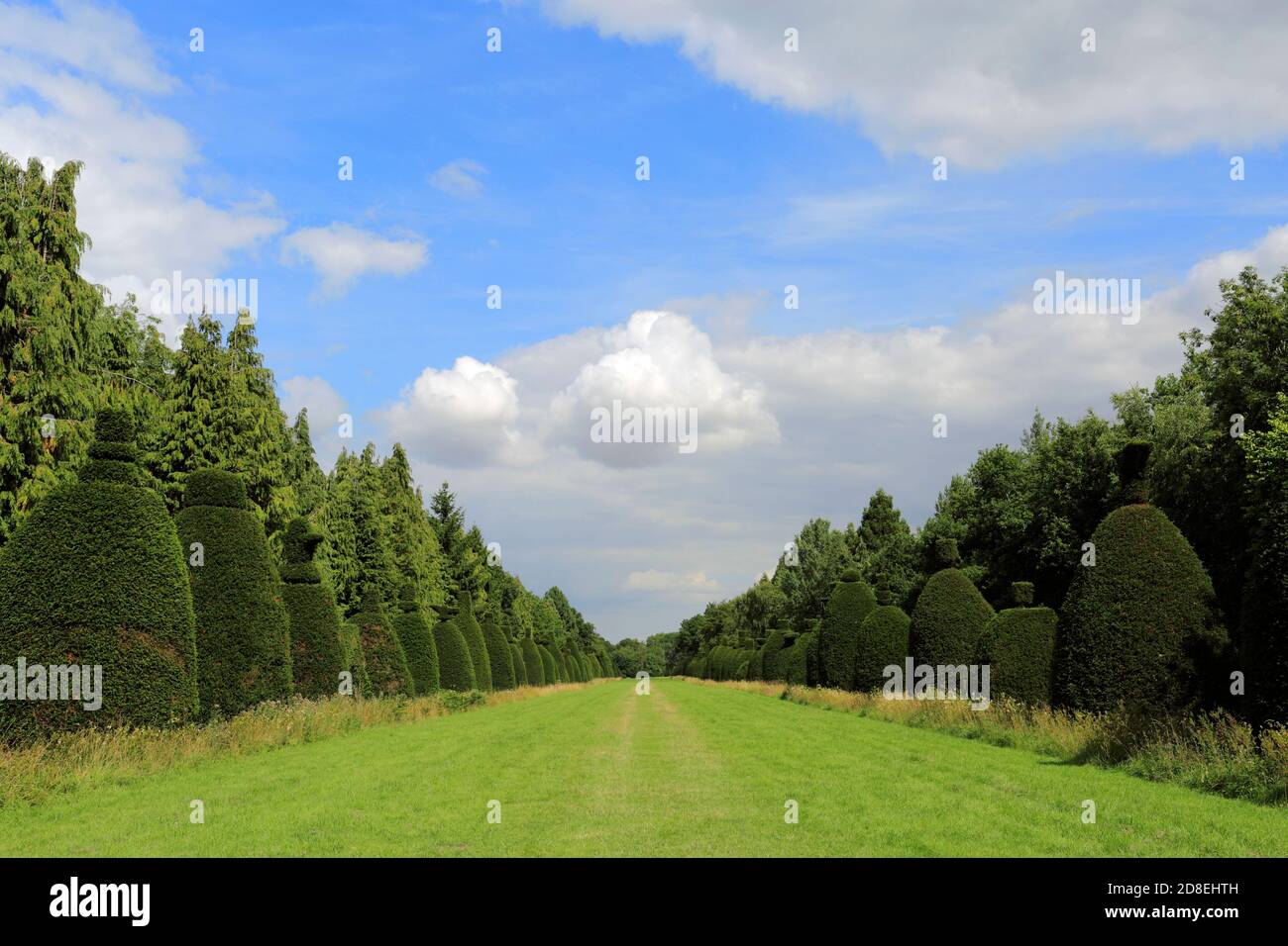 The Yew Tree avenue at Clipsham village; Rutland; England; UK Stock ...