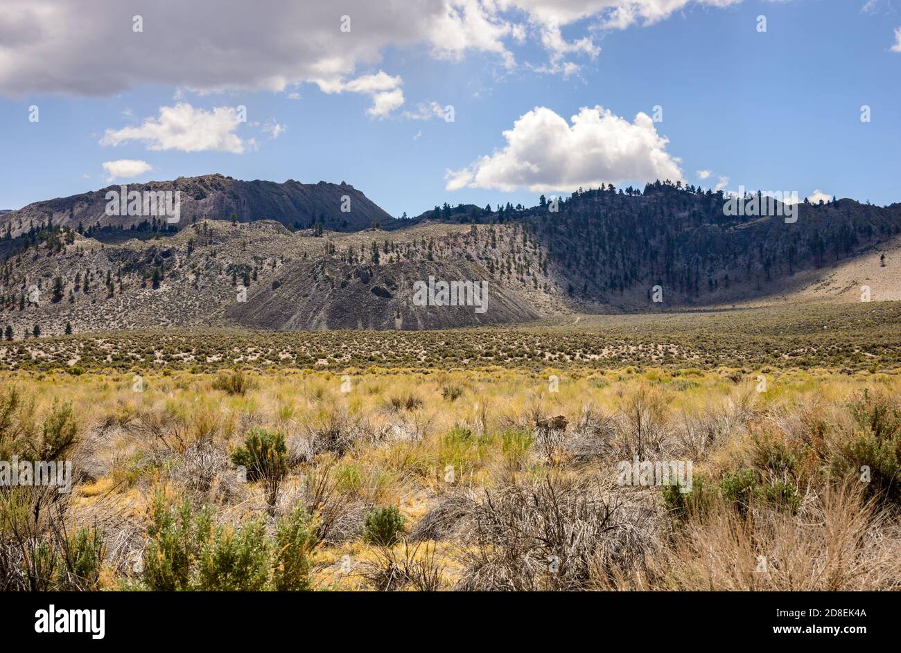 Inyo crater hi-res stock photography and images - Alamy