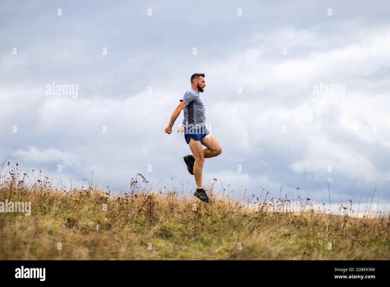 handsome trail runner running in nature Stock Photo - Alamy