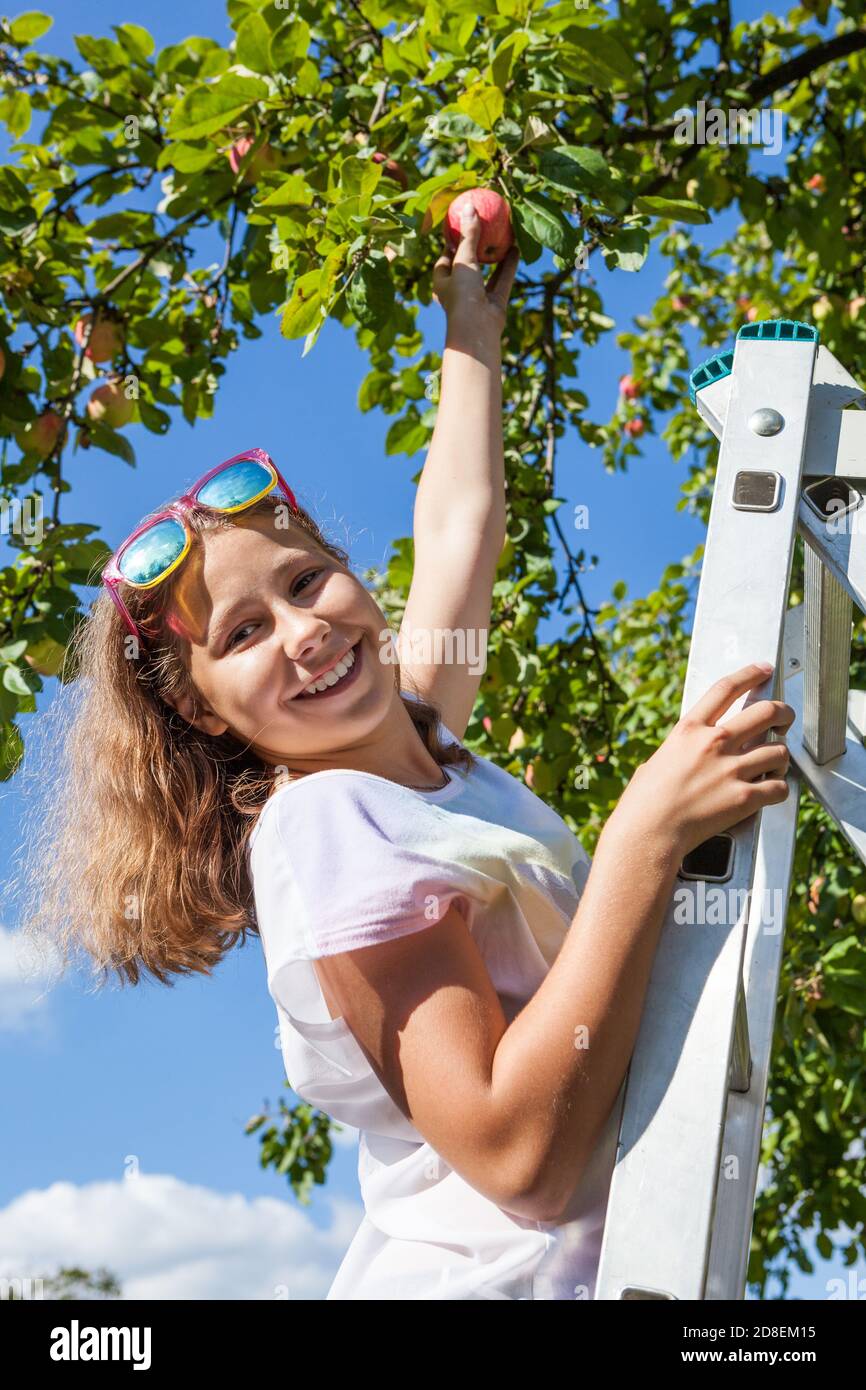 Girl child stretching harvesting hi-res stock photography and images ...