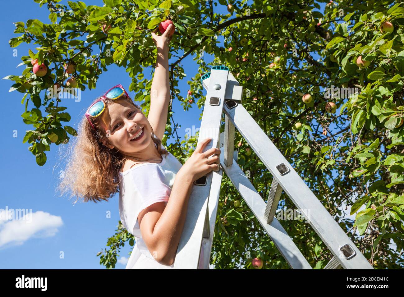 Young smiling girl stretches hand to hanging red apple, standing on ...