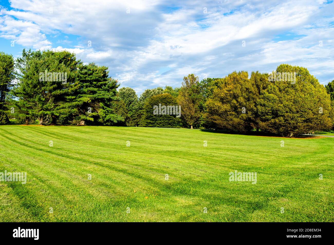Large lawn with trees hi-res stock photography and images - Alamy