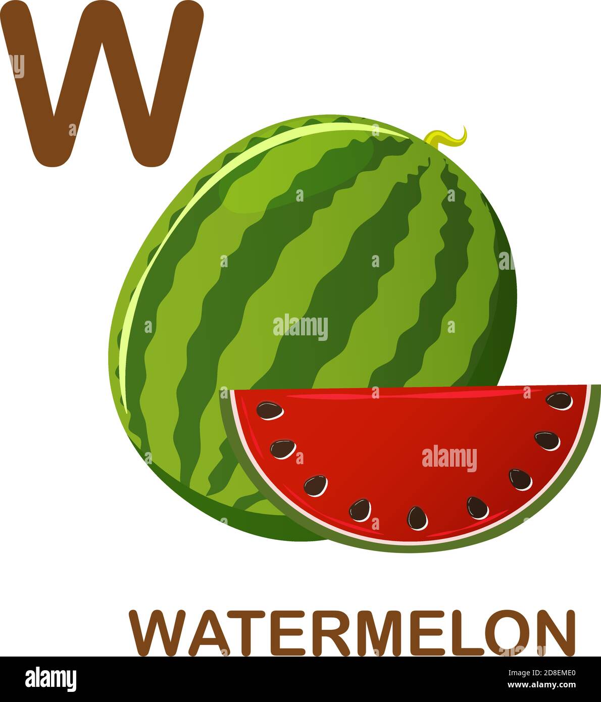 Watermelon vector icon. Illustration for alphabet on white background ...
