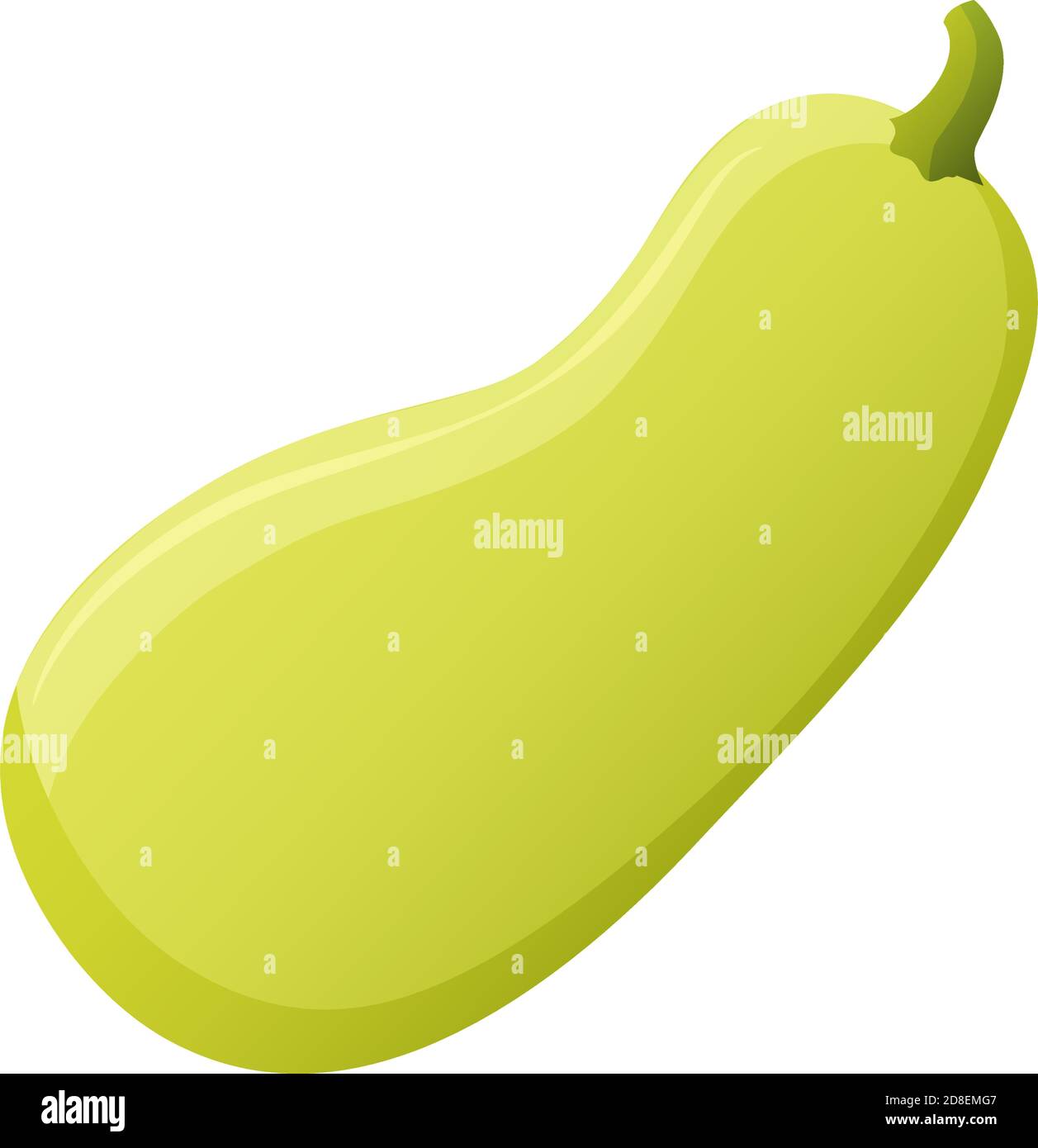 Squash vector icon. Illustration on white background. Cartoon style ...